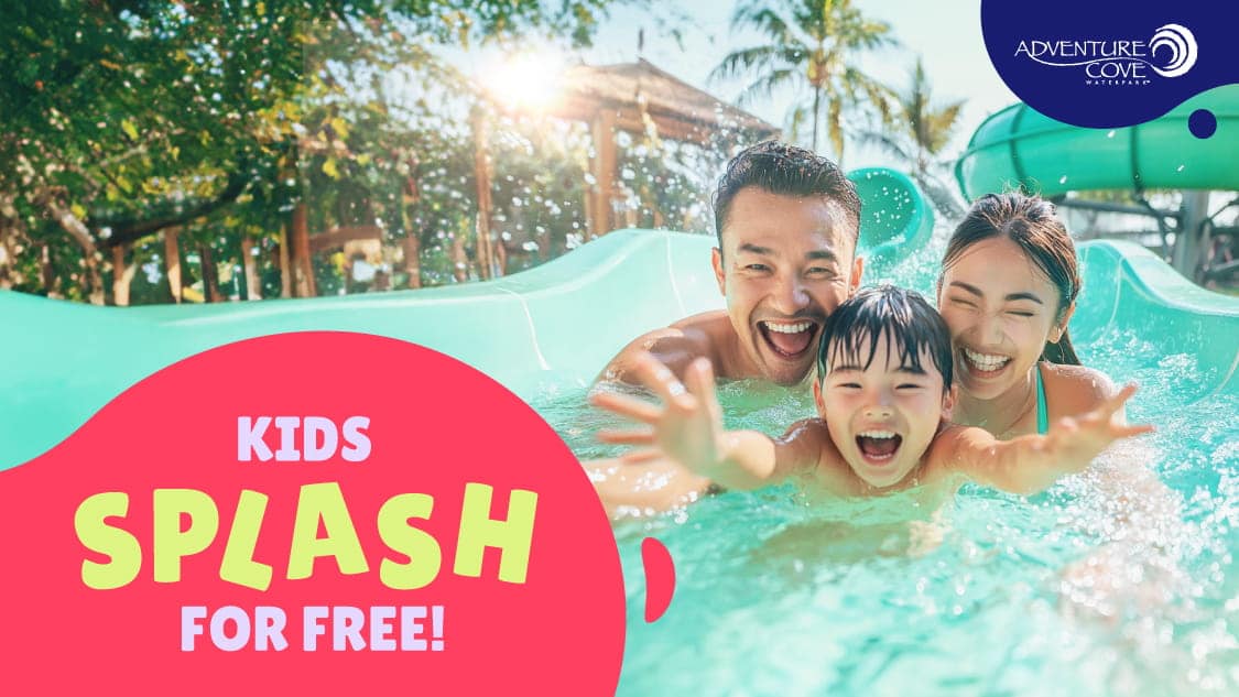 Adventure Cove Waterpark - Aqua Park at Resorts World Sentosa