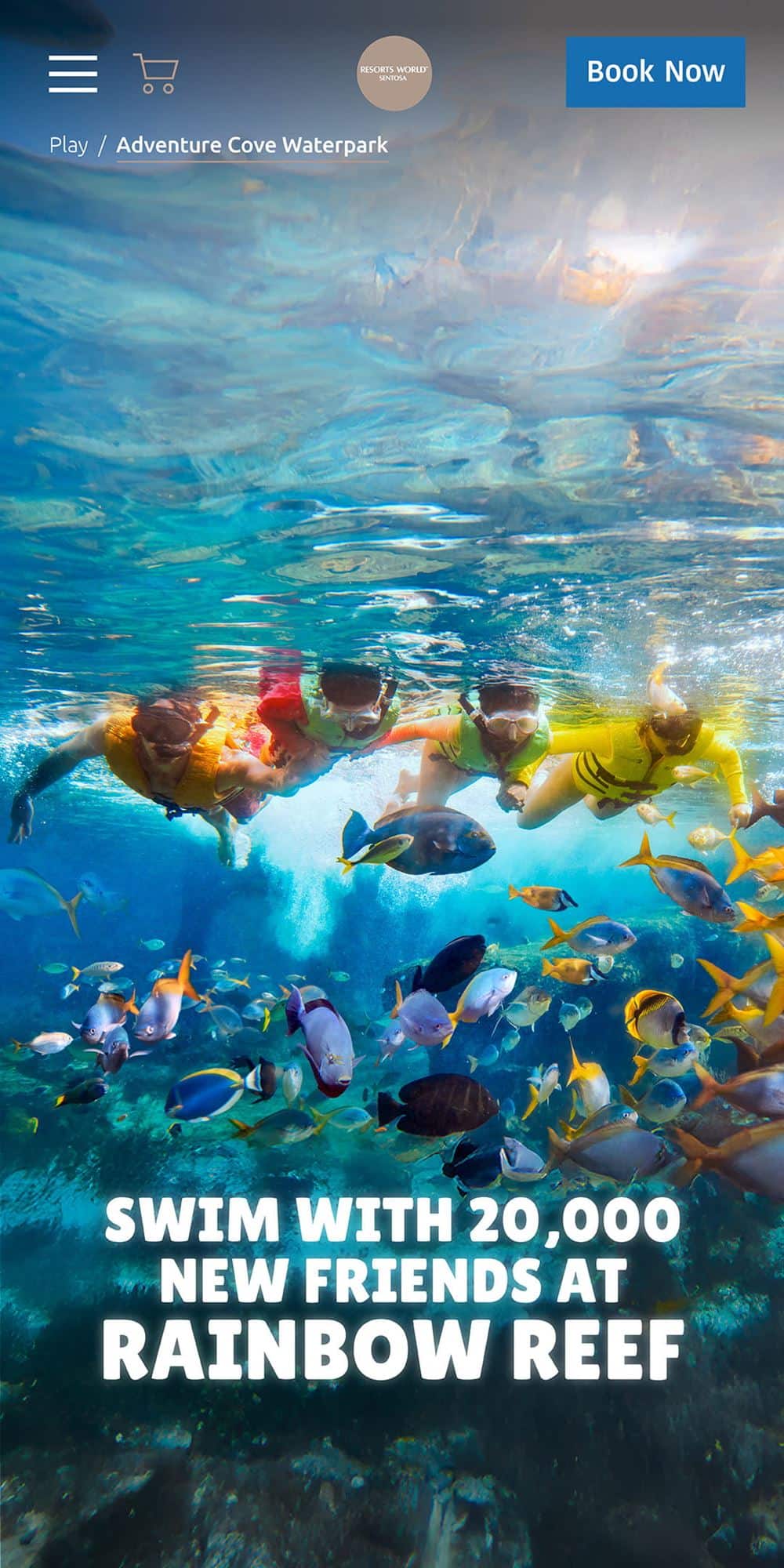 adventure cove rules