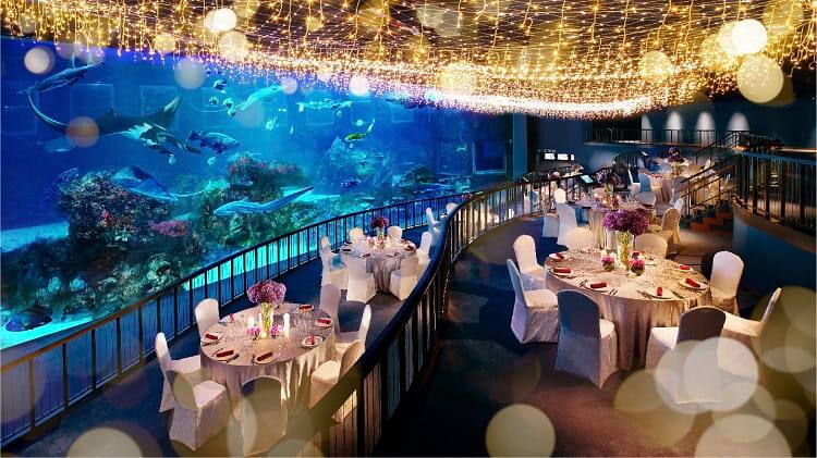 Organise your Meetings in Resorts World Sentosa