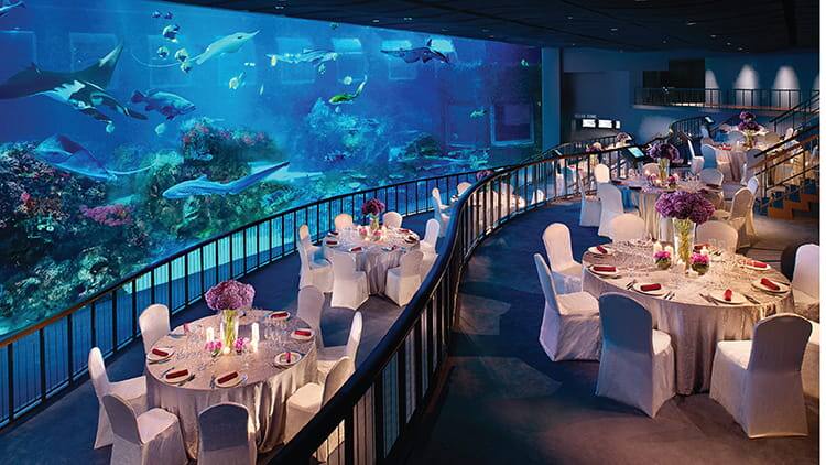 Wedding & Social Events