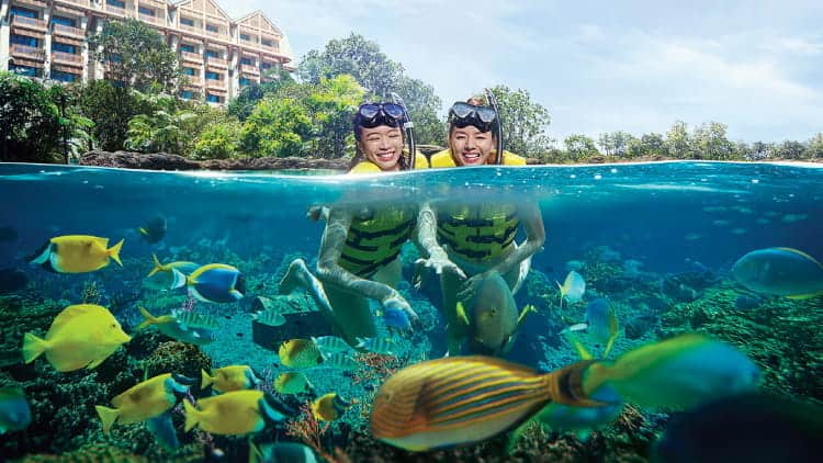 Latest Promotions in Resorts World Sentosa