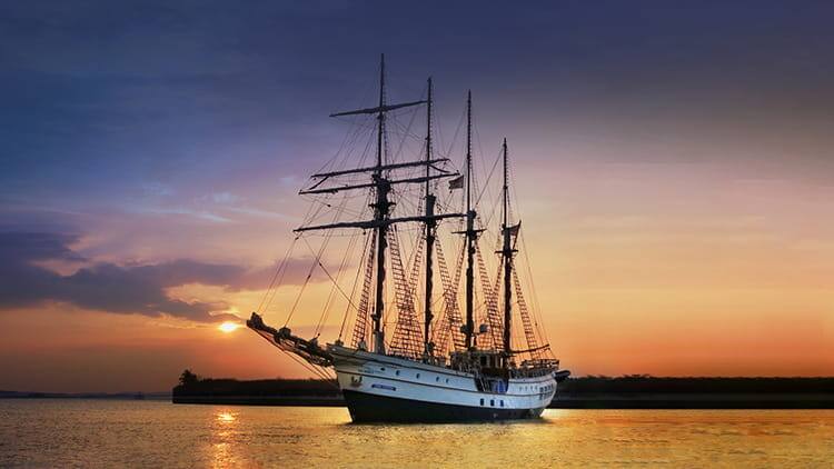 Royal Albatross - Resorts World Sentosa