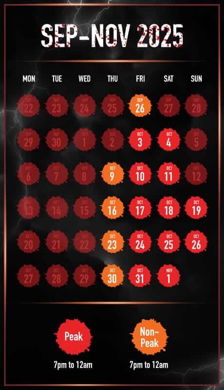 万圣节惊魂夜13